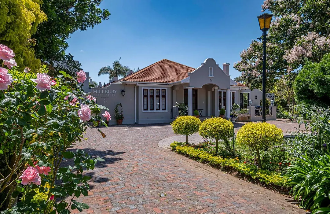 Celebrate Christmas 2025 in Port Elizabeth: Events, Markets, and Tips